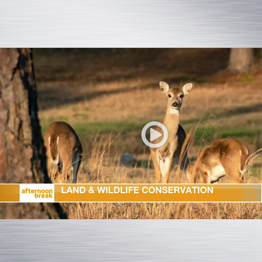 Mark Haslam Shares Tips on Land and Wildlife Conservation With WTOC ...